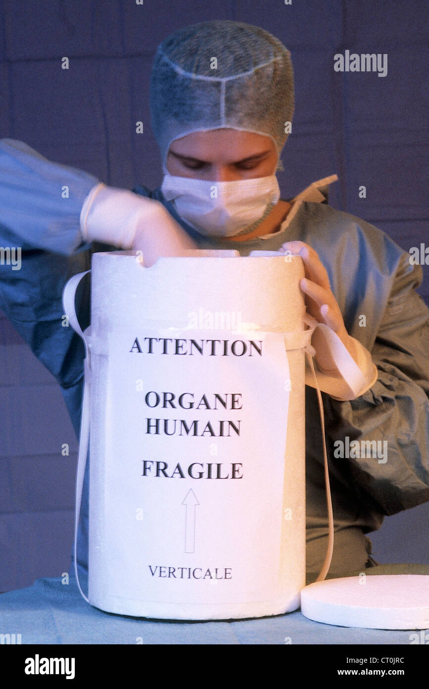 Organ transplant carrier hi-res stock photography and images - Alamy