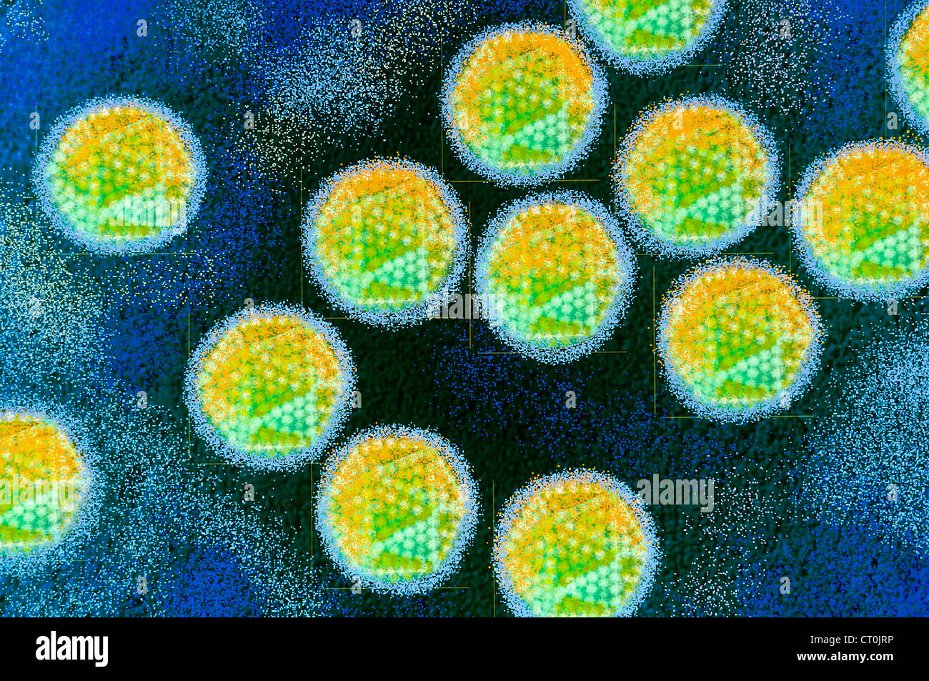 Adenovirus electron hi-res stock photography and images - Alamy