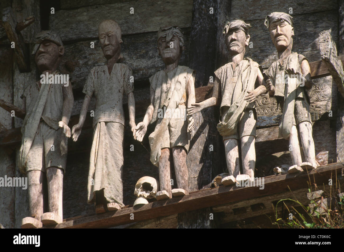 Marante High Resolution Stock Photography and Images - Alamy