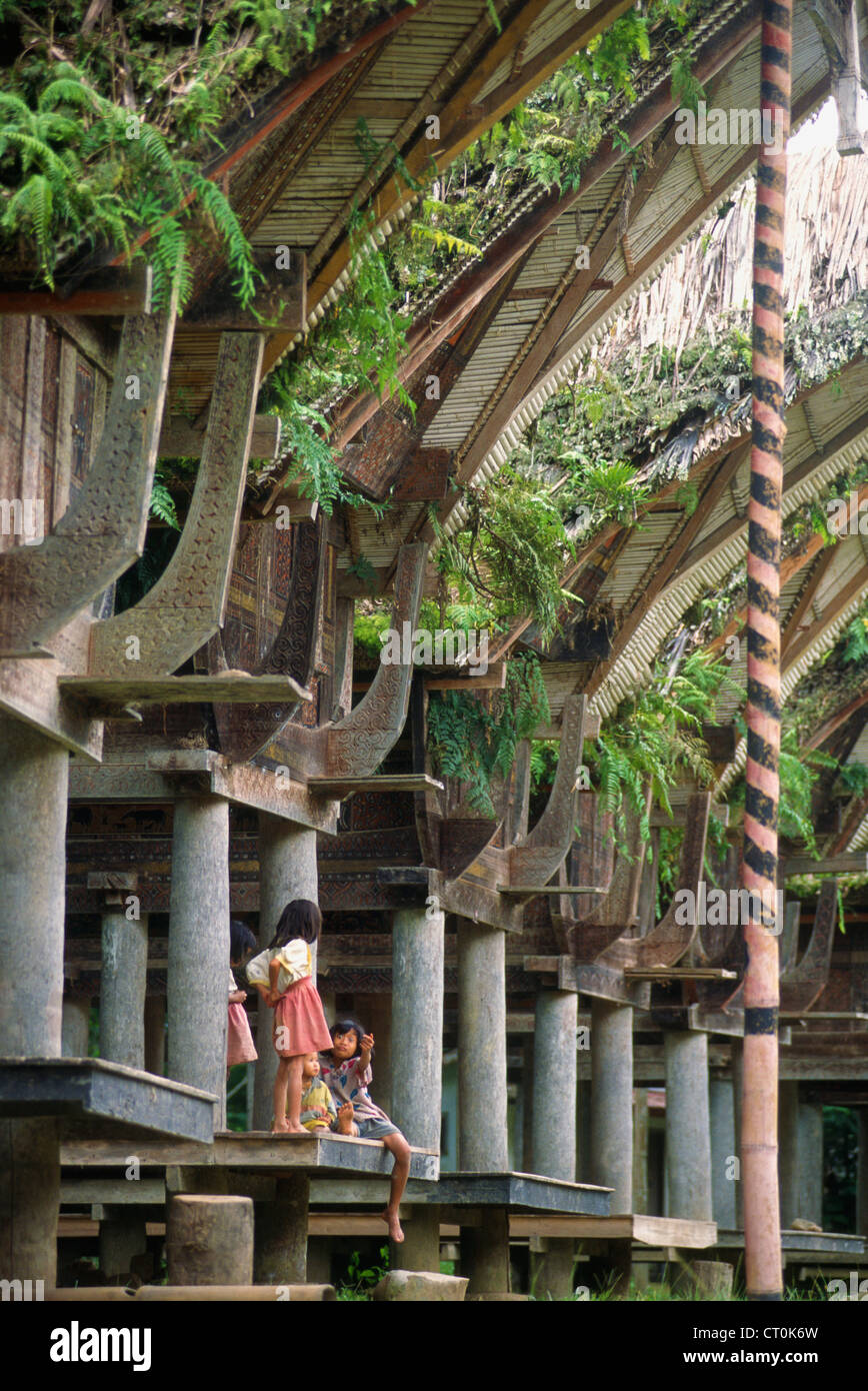 Indonesia, Sulawesi, Tanatoraja, Kete Kesu, toraja houses Stock Photo ...
