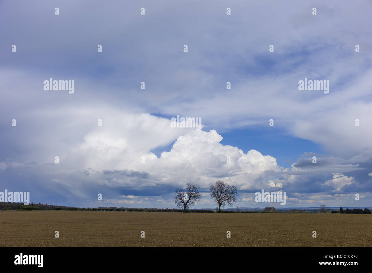 Cloud formation Towering Cumulus (centre) Cumulonimbus (left) and ...