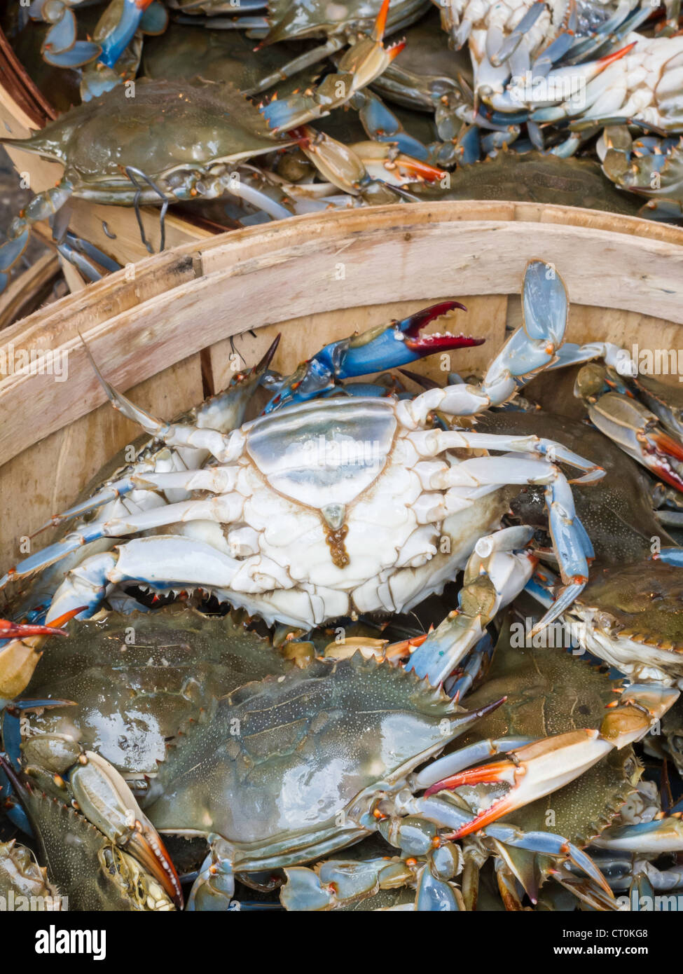 Blue Crabs, Fish Market, Chinatown, NYC Stock Photo - Alamy