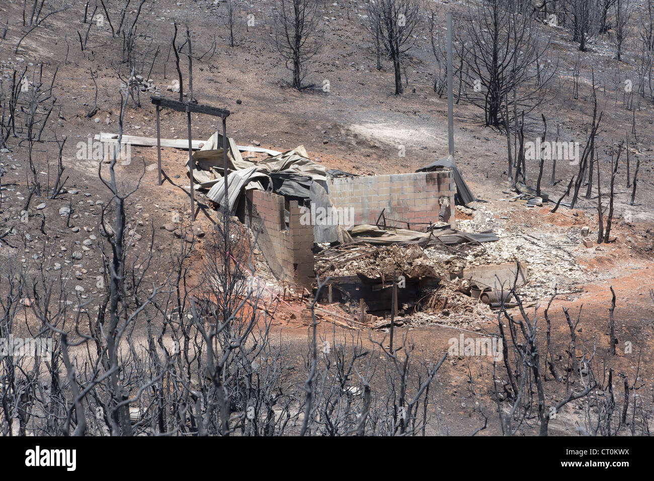 Wildfire and forest fire destroys 50,000 acres of mountain and cabin ...