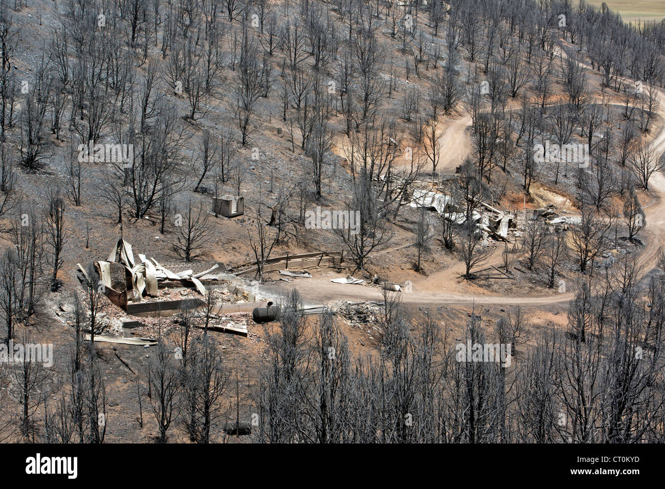 Wildfire and forest fire destroys 50,000 acres of mountain and cabin ...