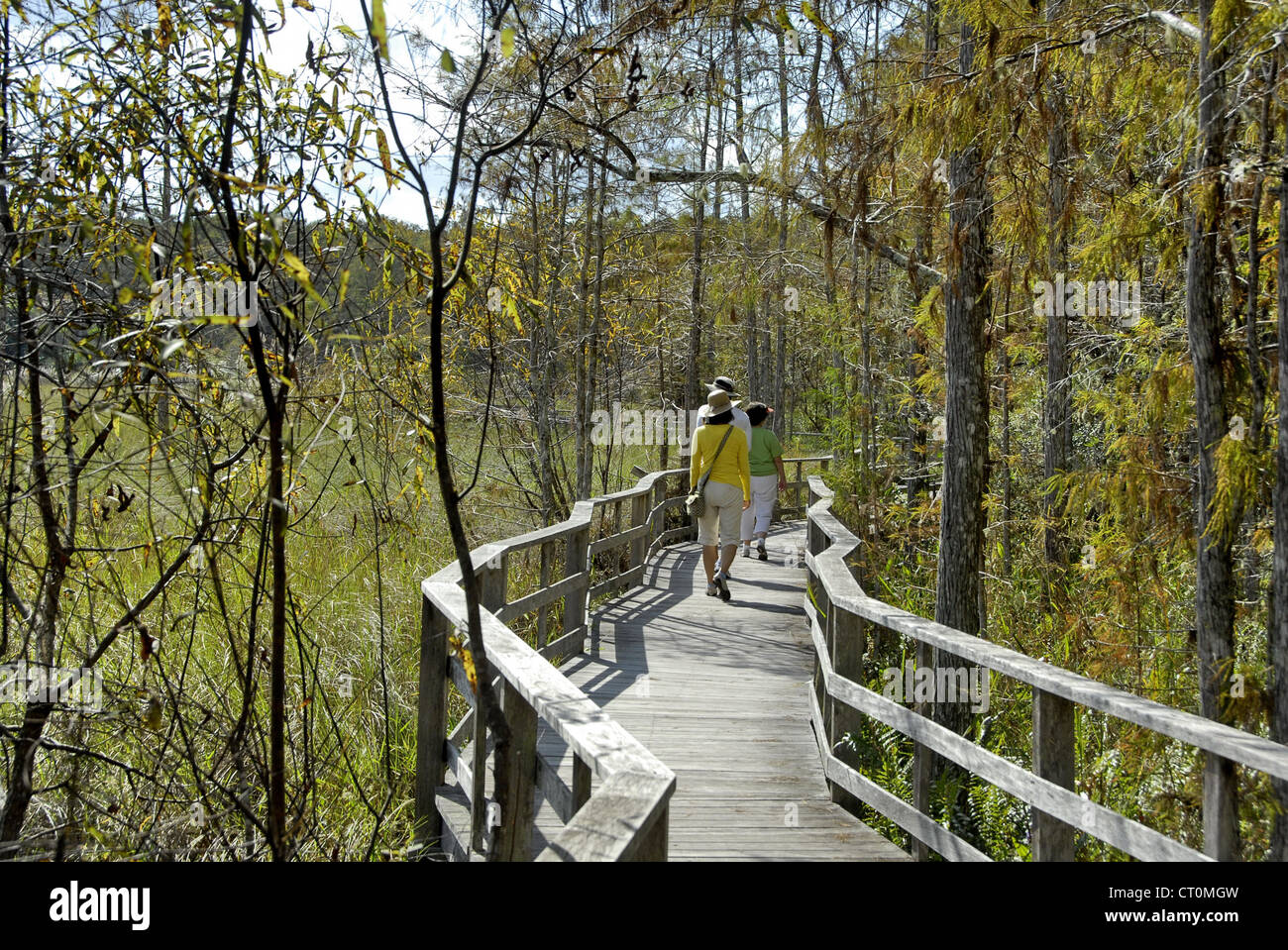 Corkscrew swamp sanctuary hi-res stock photography and images - Alamy