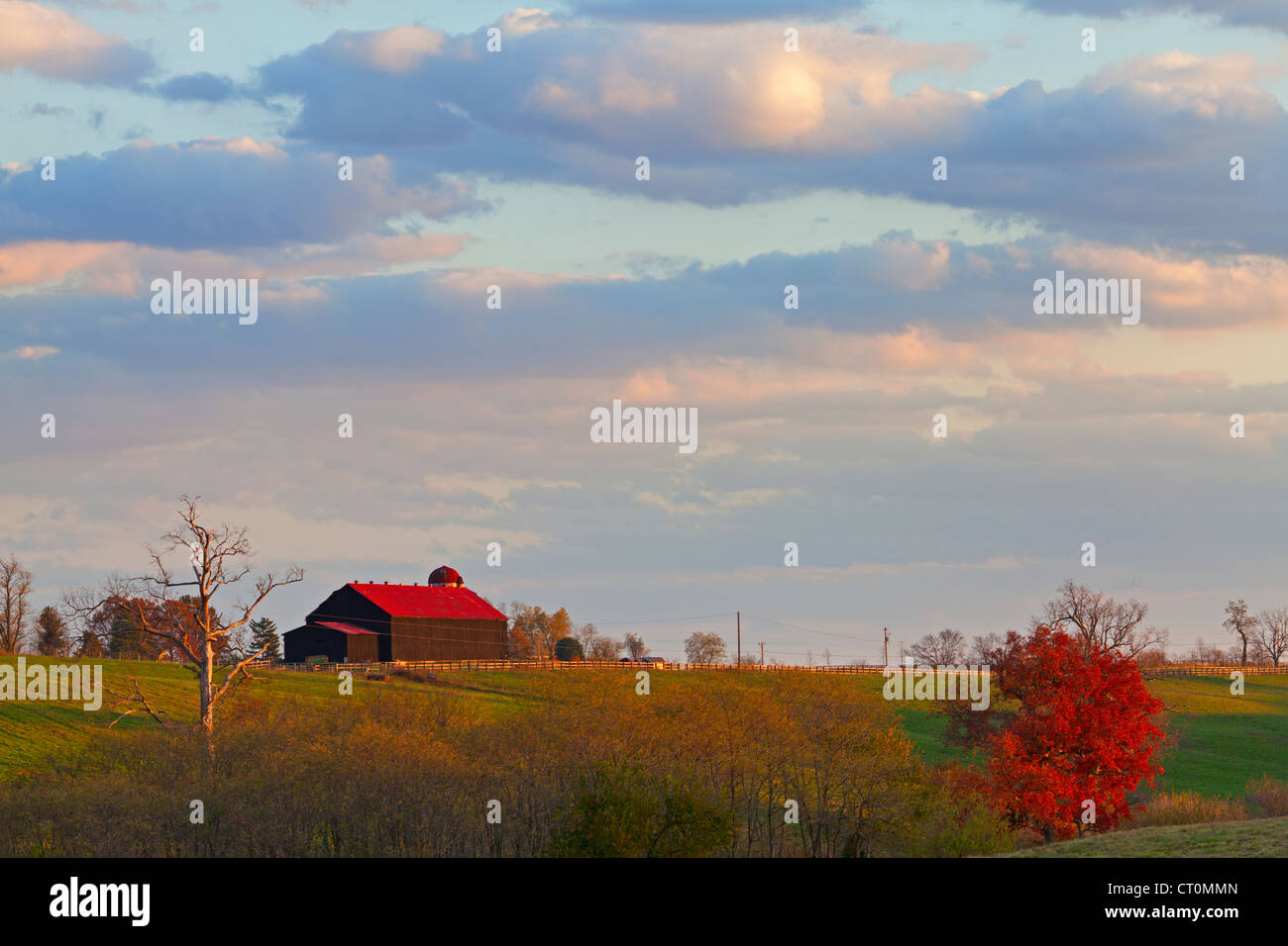 Tree barn farm landscape hi-res stock photography and images - Alamy