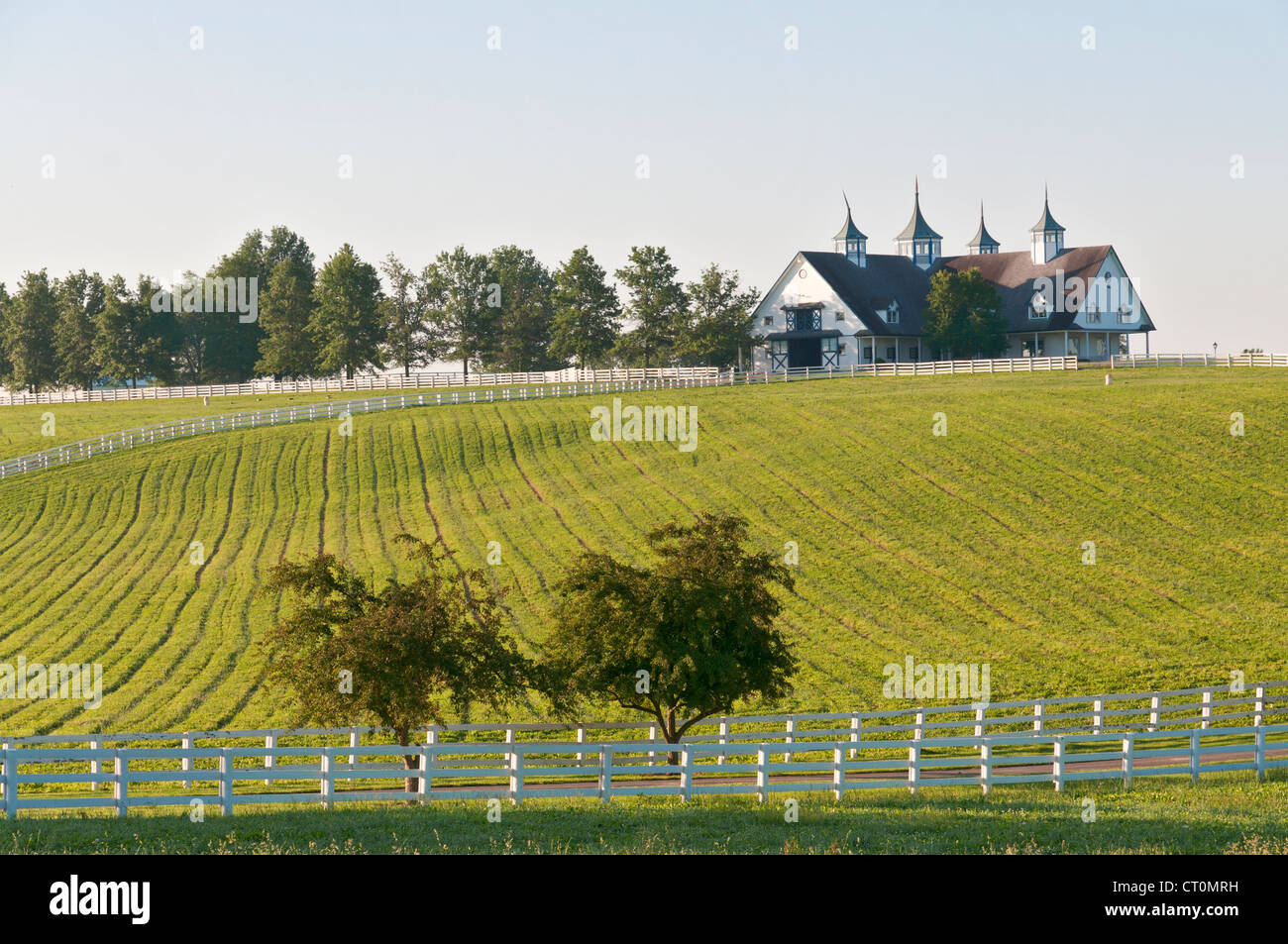 Kentucky, Lexington, Manchester Farm, Thoroughbred horse breeding farm ...