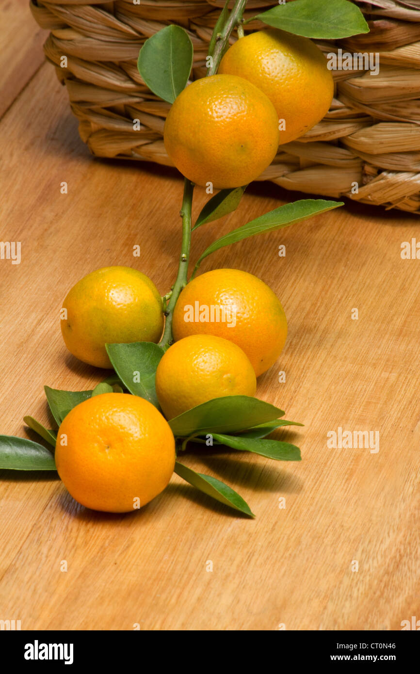 Spilled oranges hi-res stock photography and images - Alamy