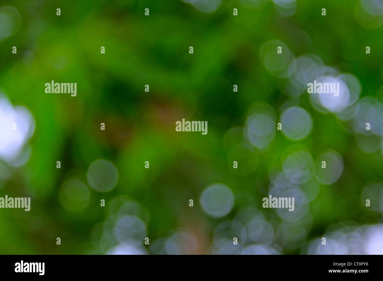 Abstract Green background, Out of Focus Stock Photo - Alamy