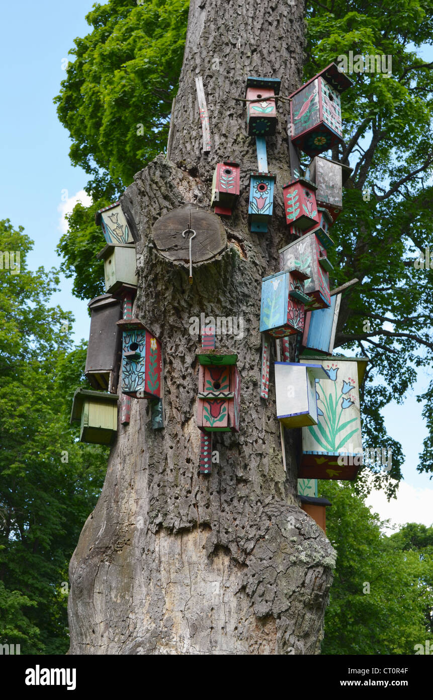 Fun Bird Houses