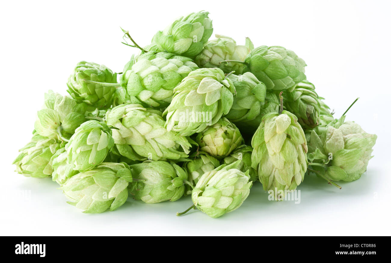 Hops hi-res stock photography and images - Alamy