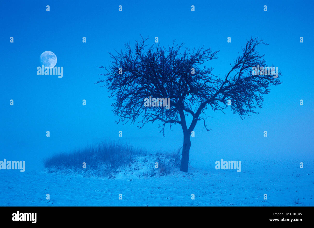 Moon apple hi-res stock photography and images - Alamy