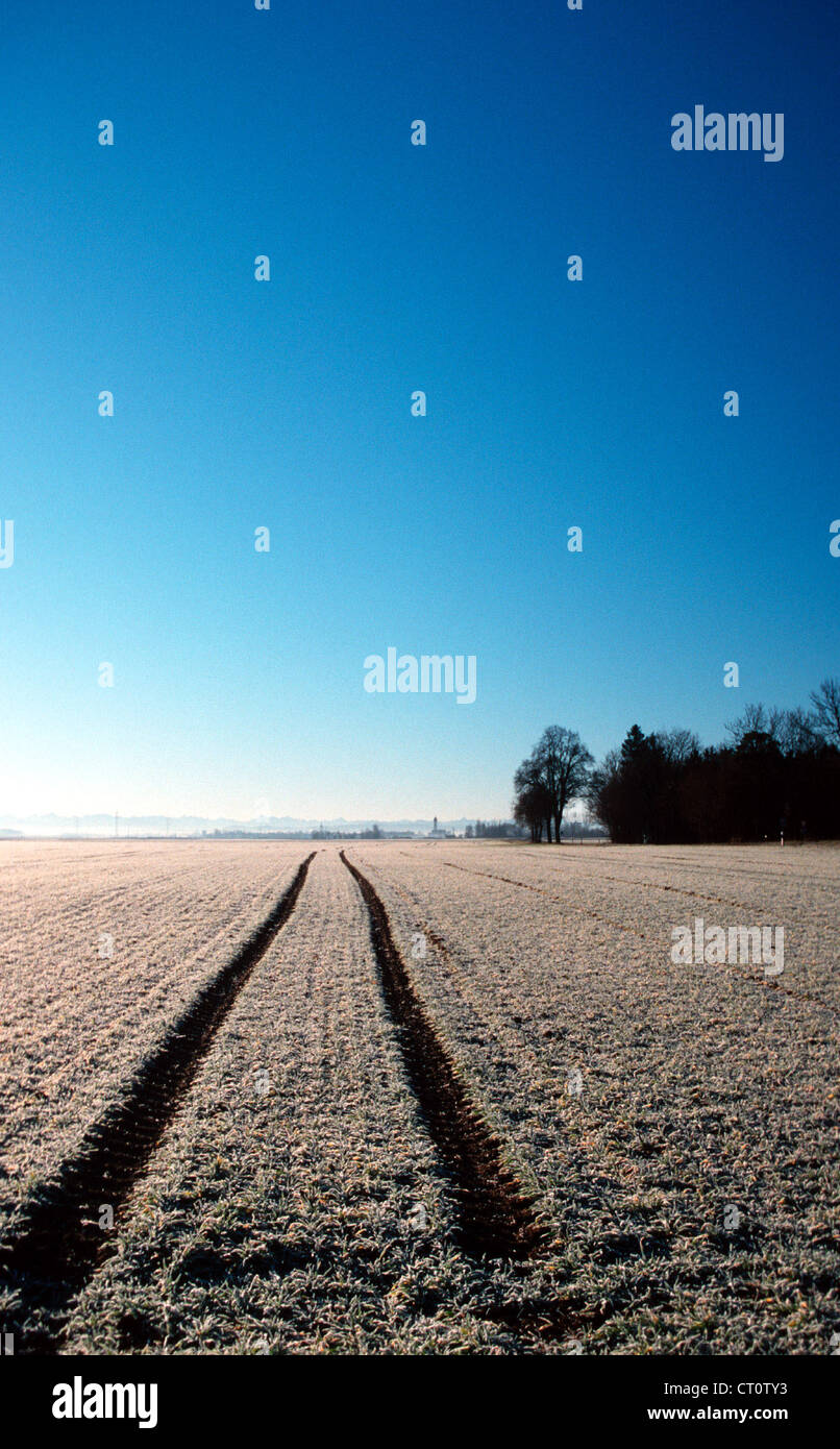 Tractor tracks in a frozen field in the morning Stock Photo - Alamy