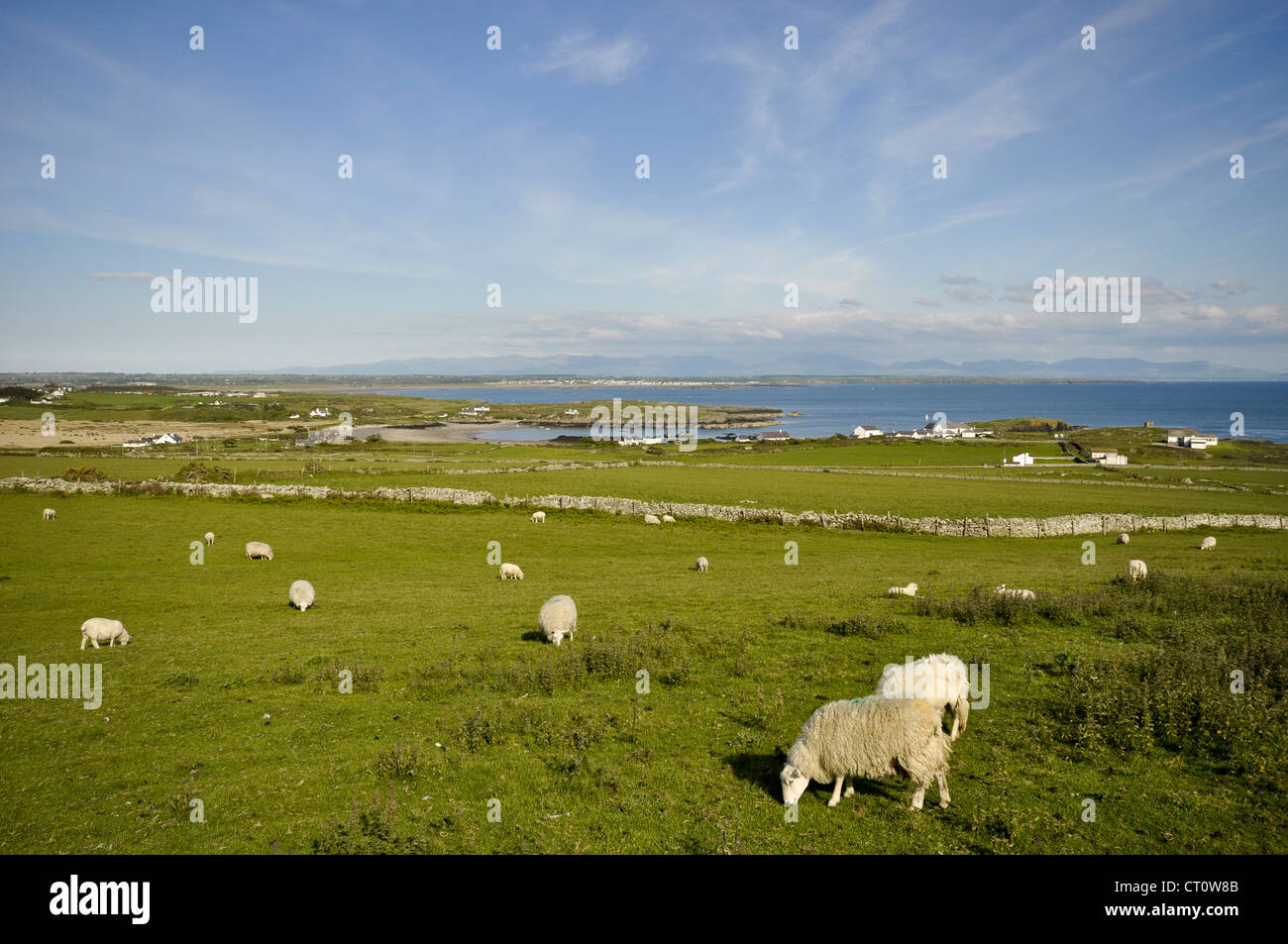 Borthwen, rhoscolyn hi-res stock photography and images - Alamy