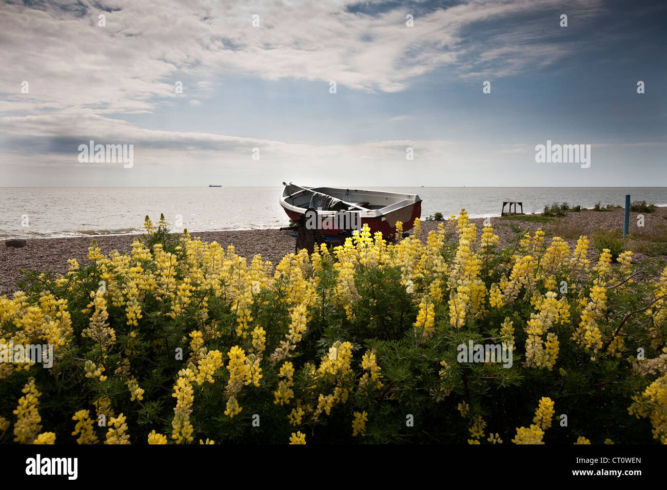 Pakefield Beach Suffolk Stock Photo - Alamy