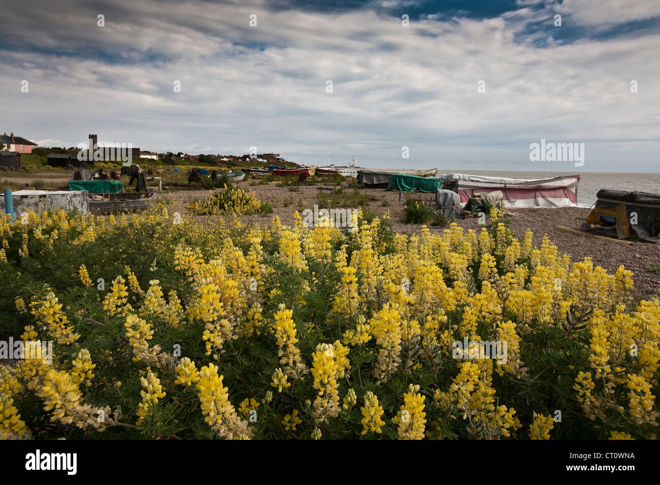 Pakefield Beach Suffolk Stock Photo - Alamy