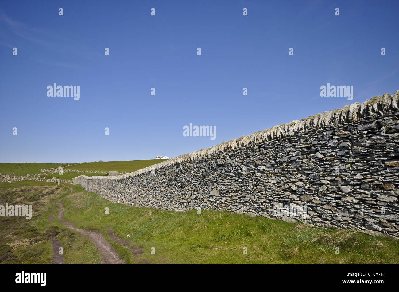 Dry stone walling on Anglesey North Wales Stock Photo - Alamy