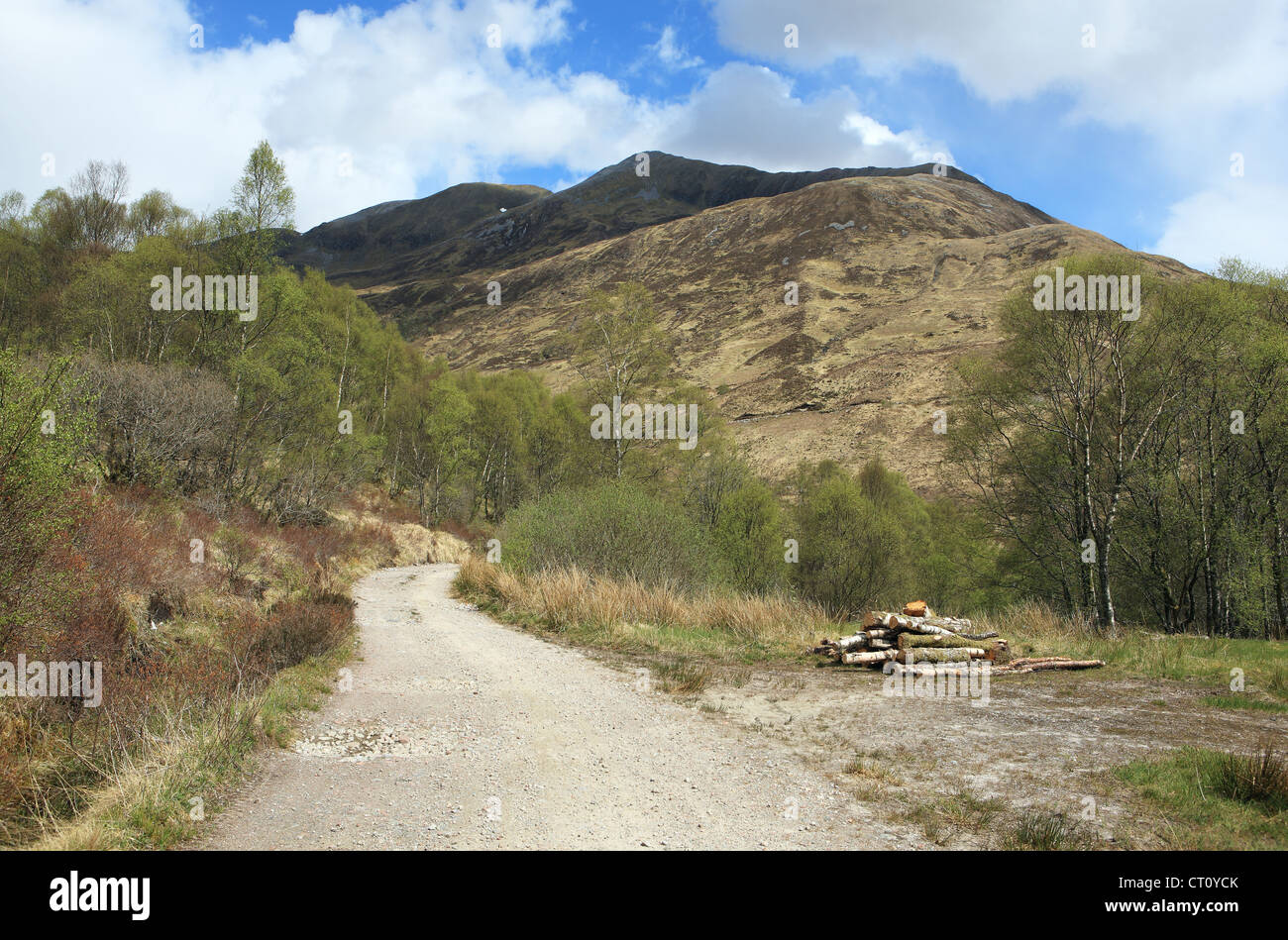 Path past Mamore Lodge with Na Gruagaichean (right at 1055m) and Stob ...
