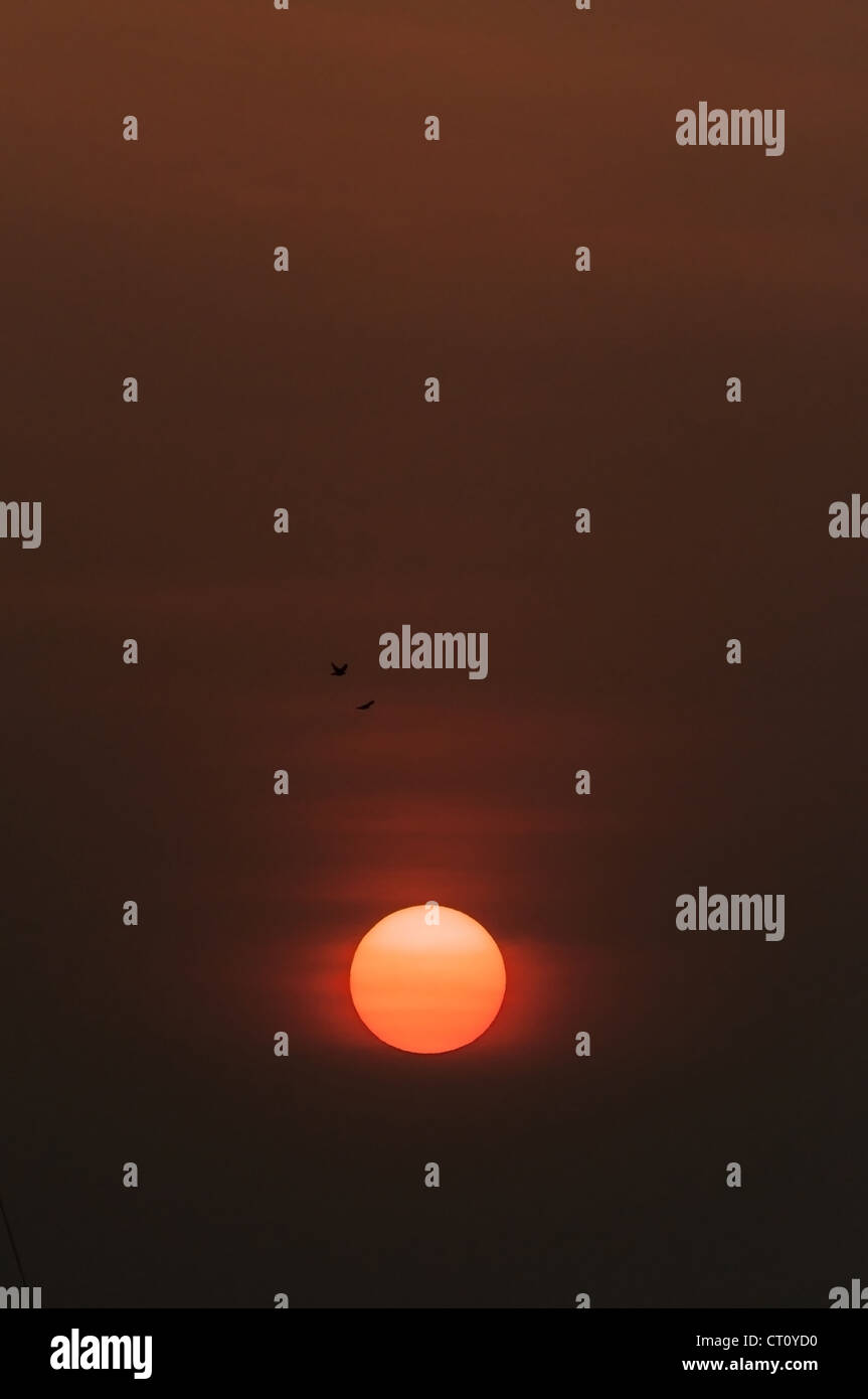 Beautiful Red Sunset Stock Photo - Alamy