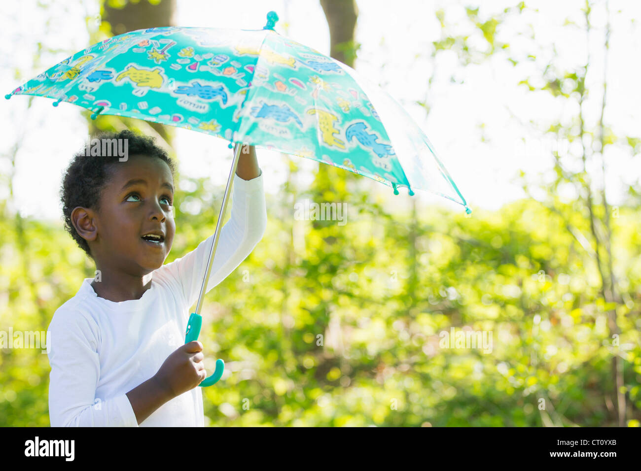 Boy carrying umbrella in forest Stock Photo - Alamy