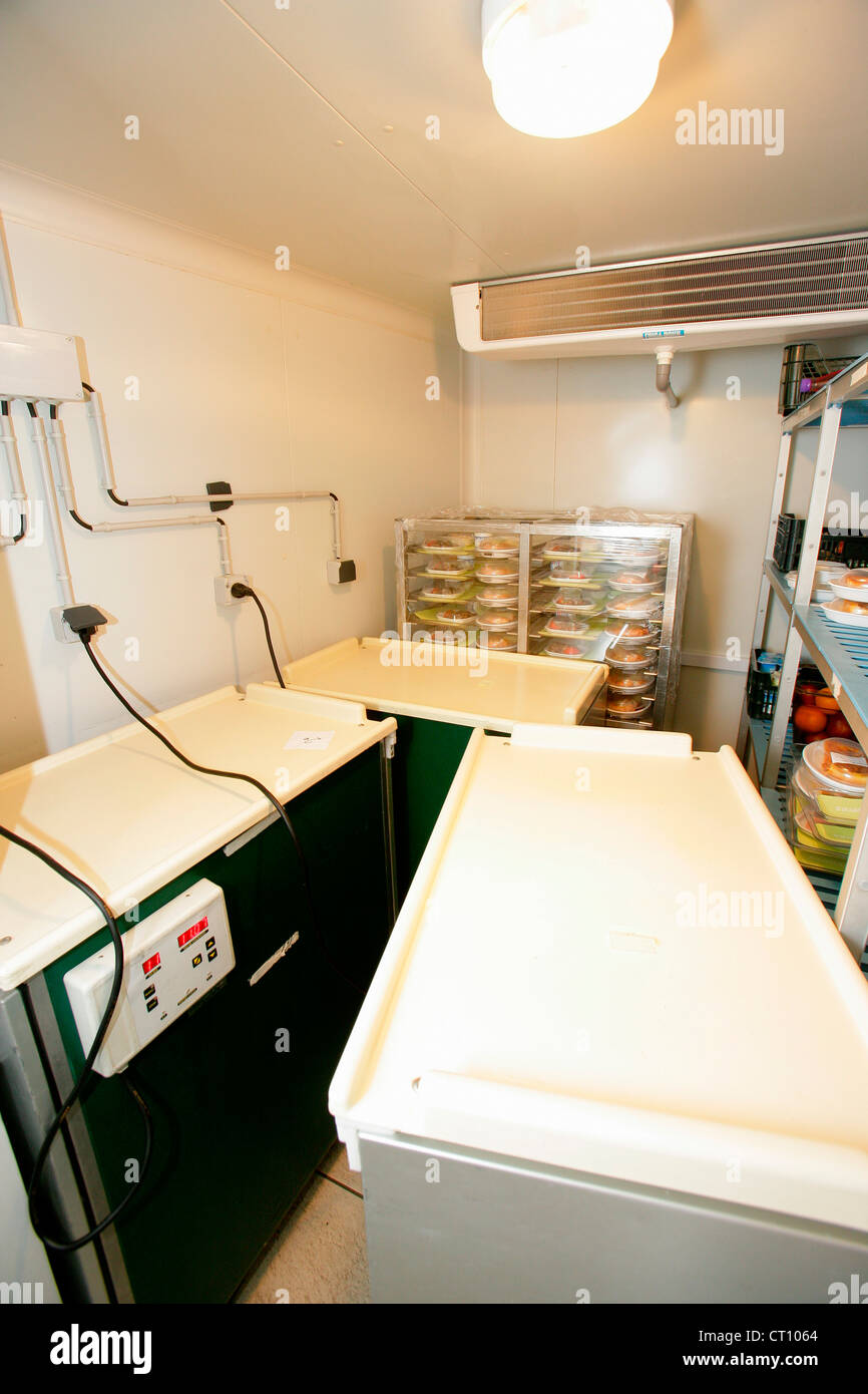 INTERIOR OF A HOSPITAL Stock Photo - Alamy