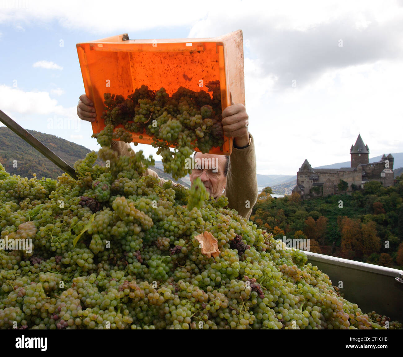 Bacharach on the Rhine, wine helps in vintage Stock Photo - Alamy