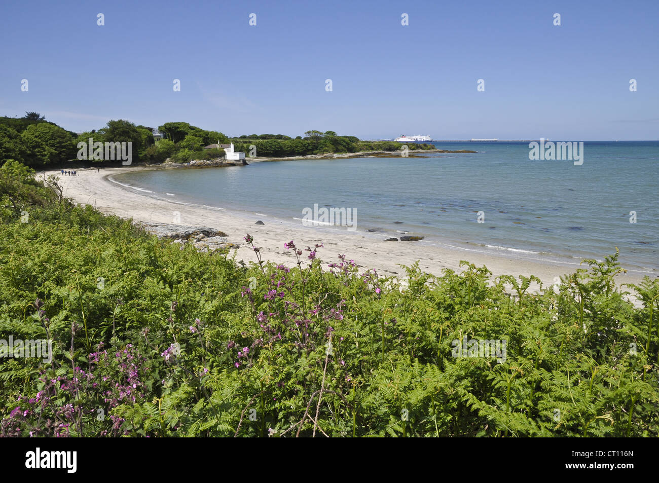 Penrhos High Resolution Stock Photography and Images - Alamy