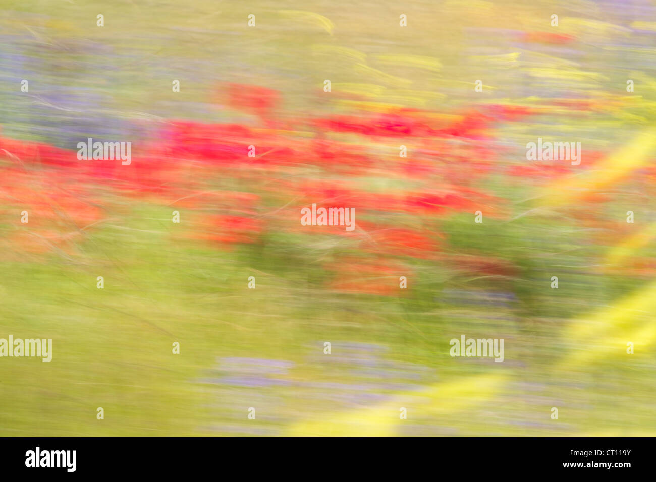 Blustery day hi-res stock photography and images - Alamy