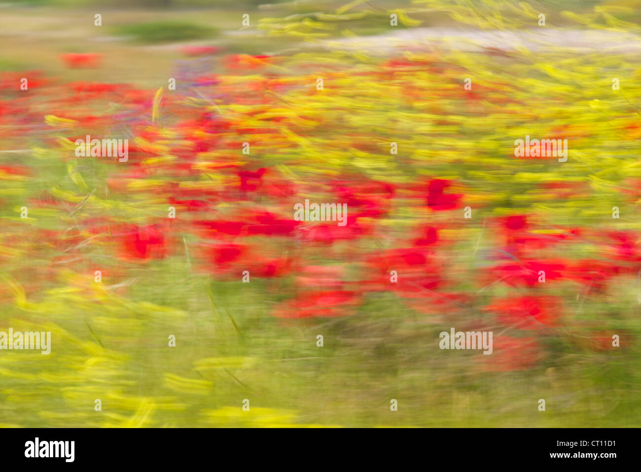 Blustery High Resolution Stock Photography and Images - Alamy