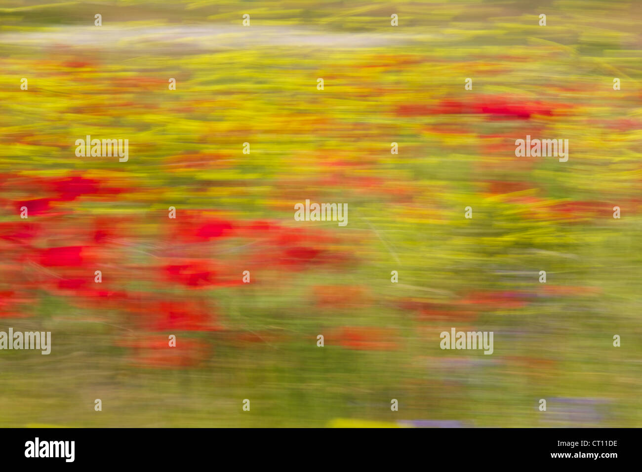 Blustery hi-res stock photography and images - Alamy