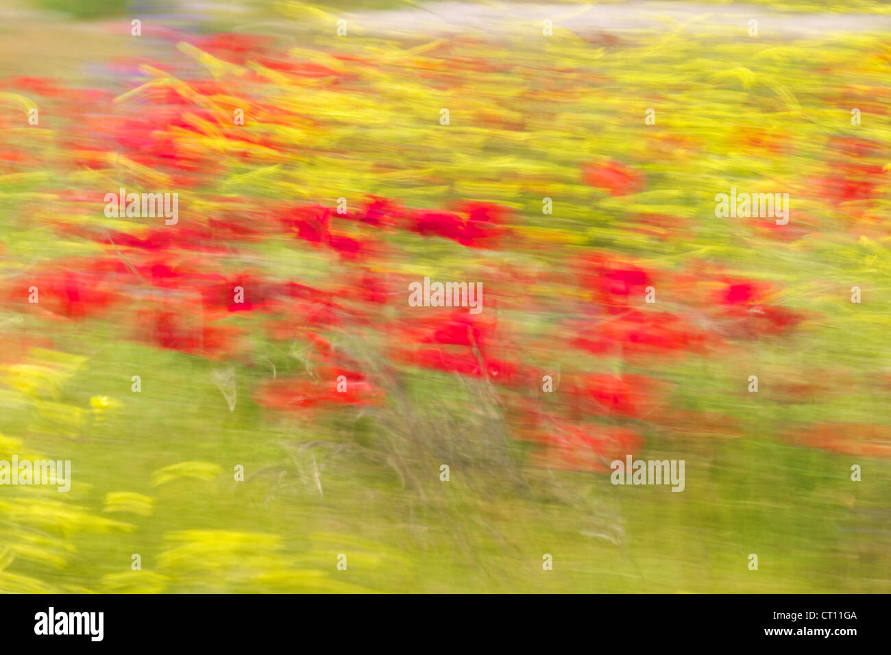 Blustery High Resolution Stock Photography and Images - Alamy