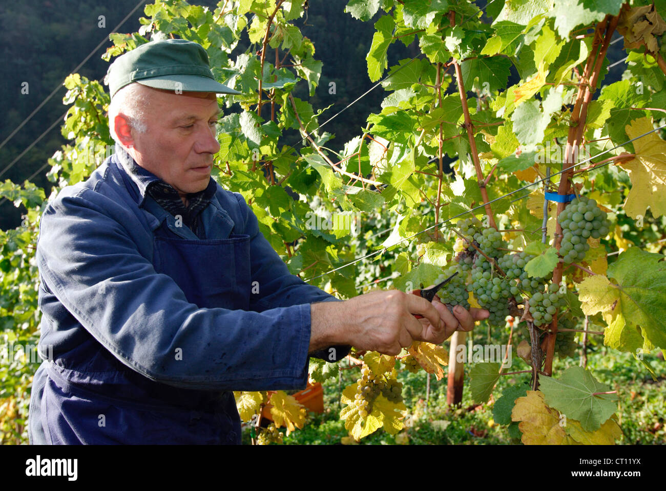Harvesters harvest hi-res stock photography and images - Alamy