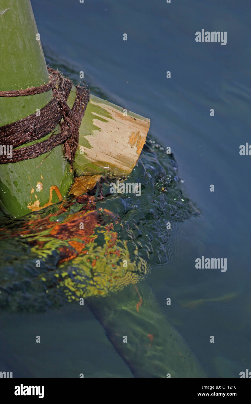 Temporary bamboo bridge hi-res stock photography and images - Alamy