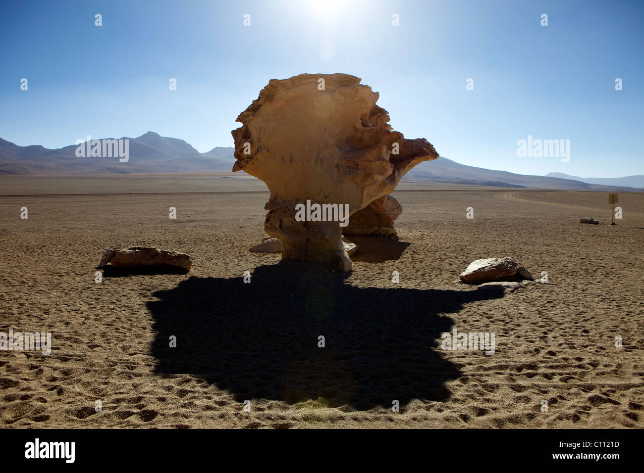 Arbol de Piedra (stone tree) wind eroded rock near Laguna Colorada ...