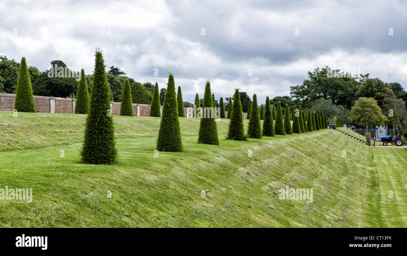 Formal elaborate yew grass clouds wall walled hi-res stock photography ...