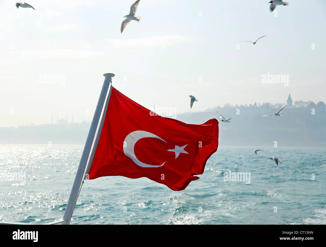 Seagulls flying over Turkey flag Stock Photo - Alamy