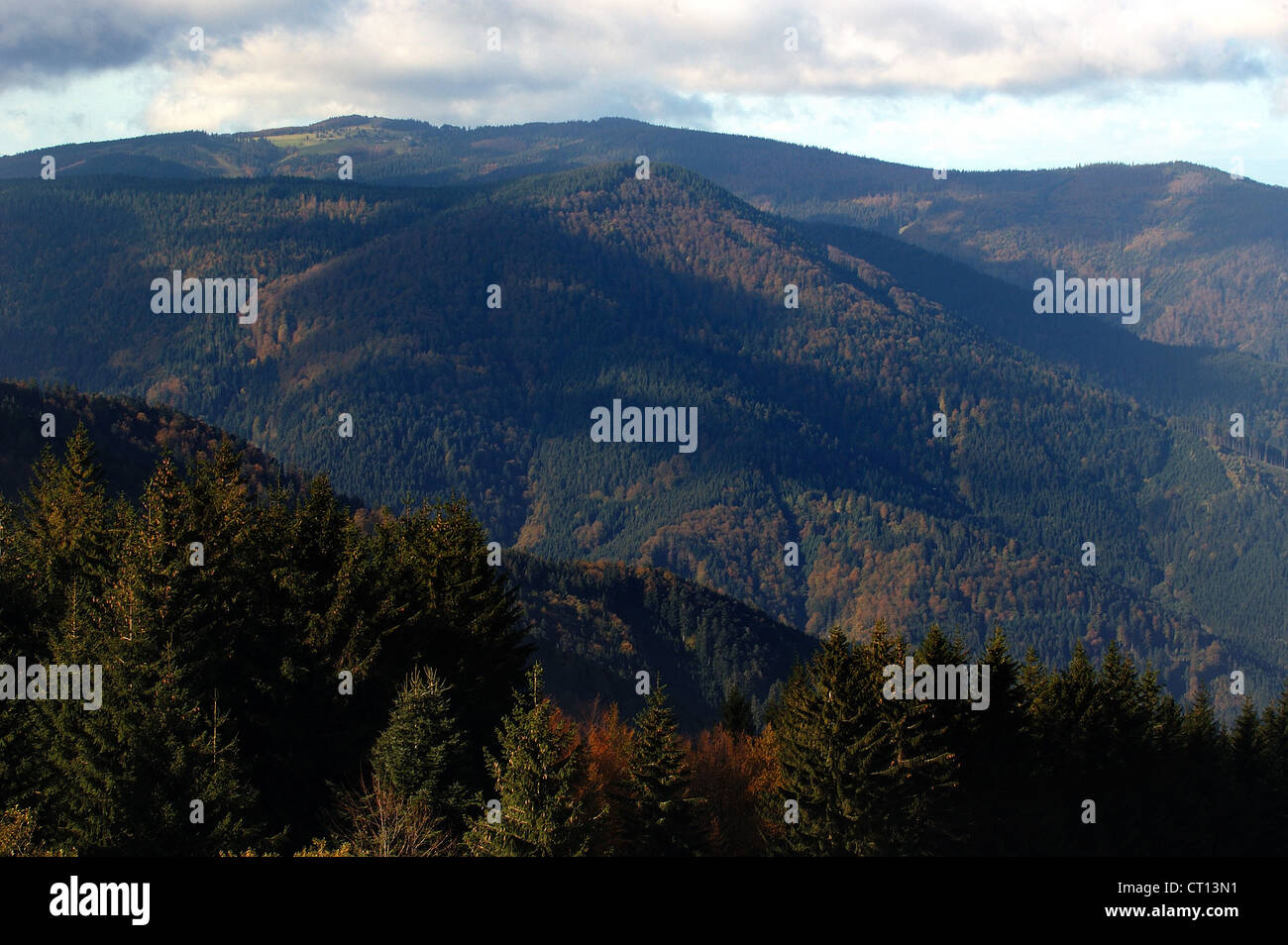 Simon forest Autumn in the Black Forest Stock Photo - Alamy
