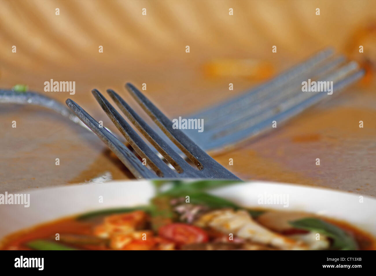 Indian restaurant table setting hi-res stock photography and images - Alamy