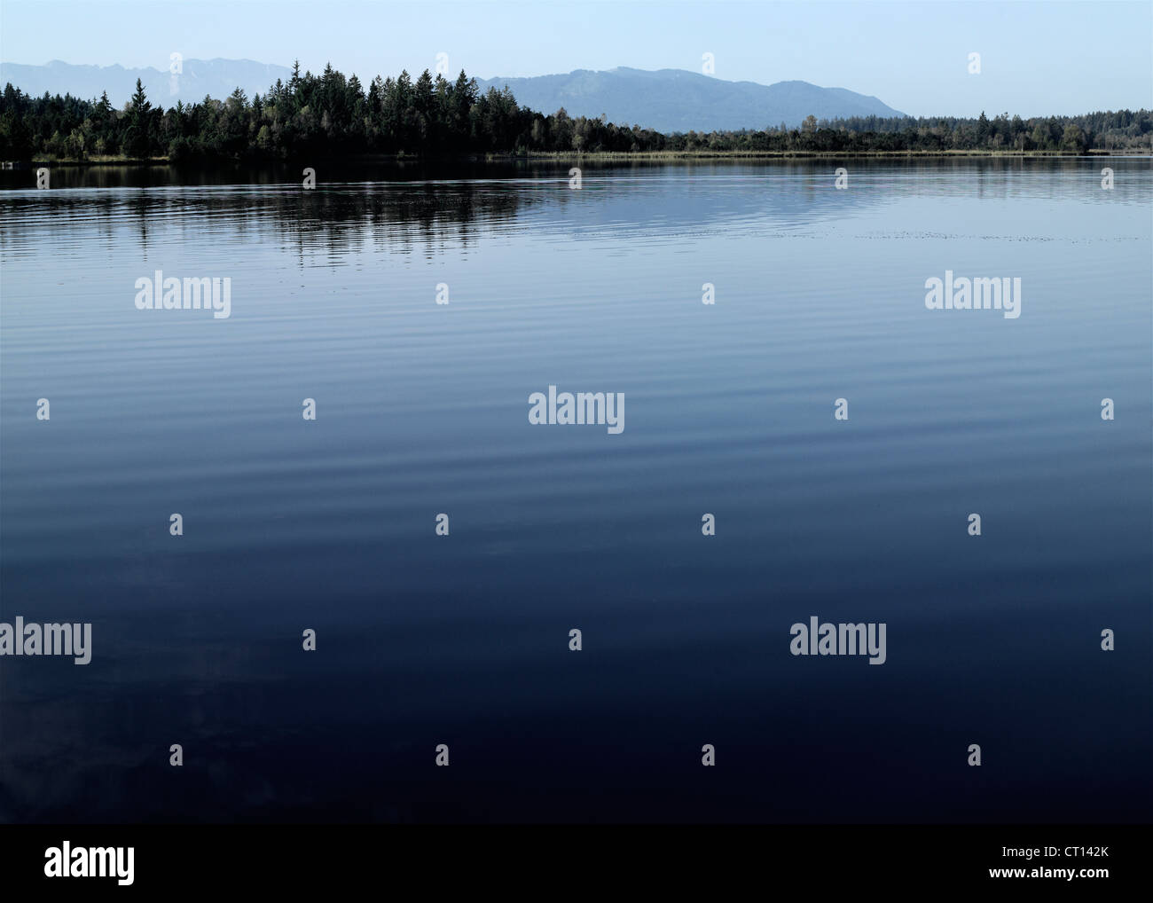 Trees and mountains with still lake Stock Photo - Alamy