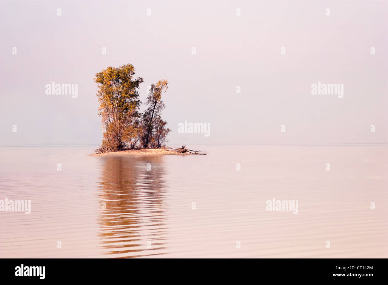 Grouping trees hi-res stock photography and images - Alamy