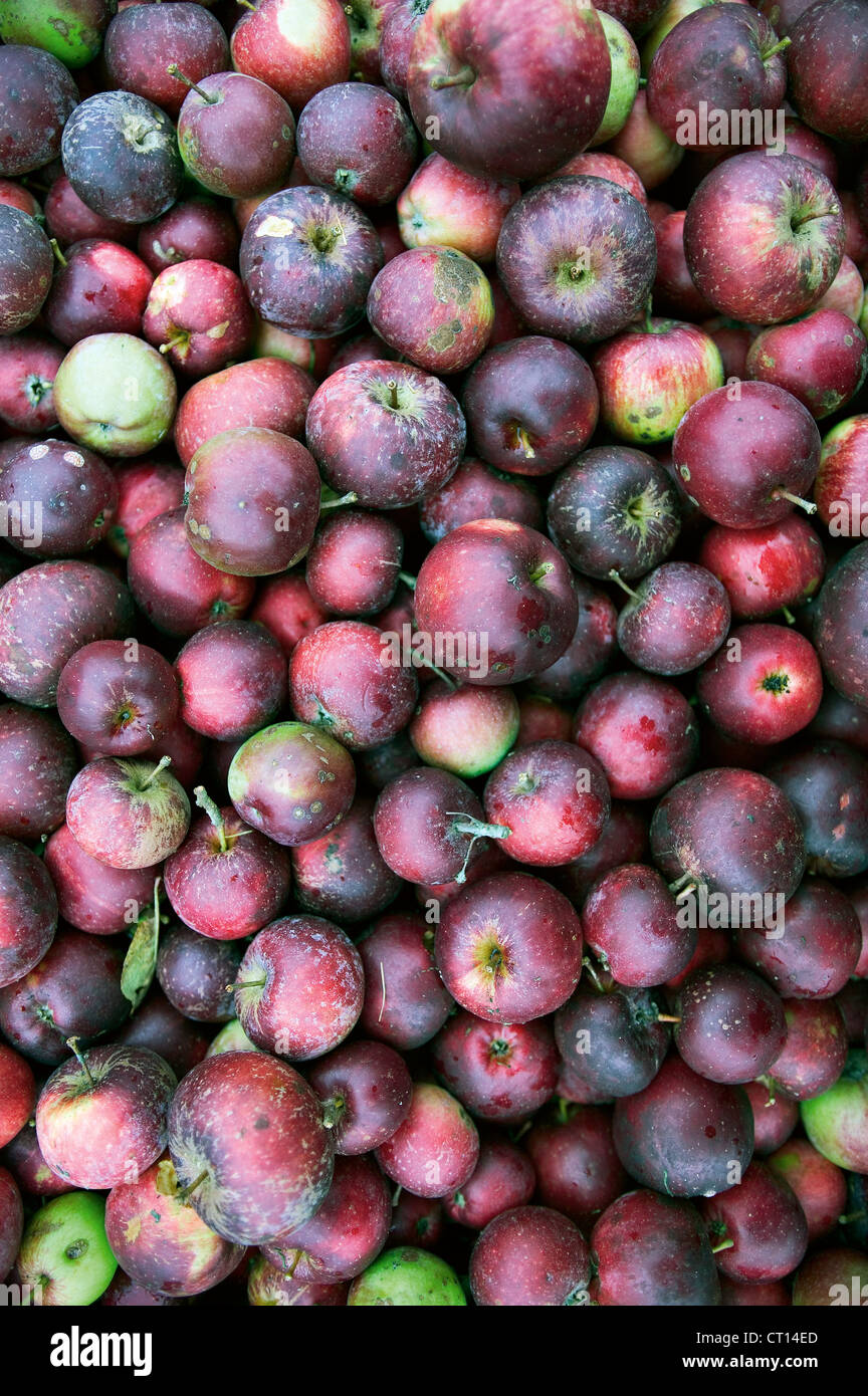 Pile of fruit hi-res stock photography and images - Alamy