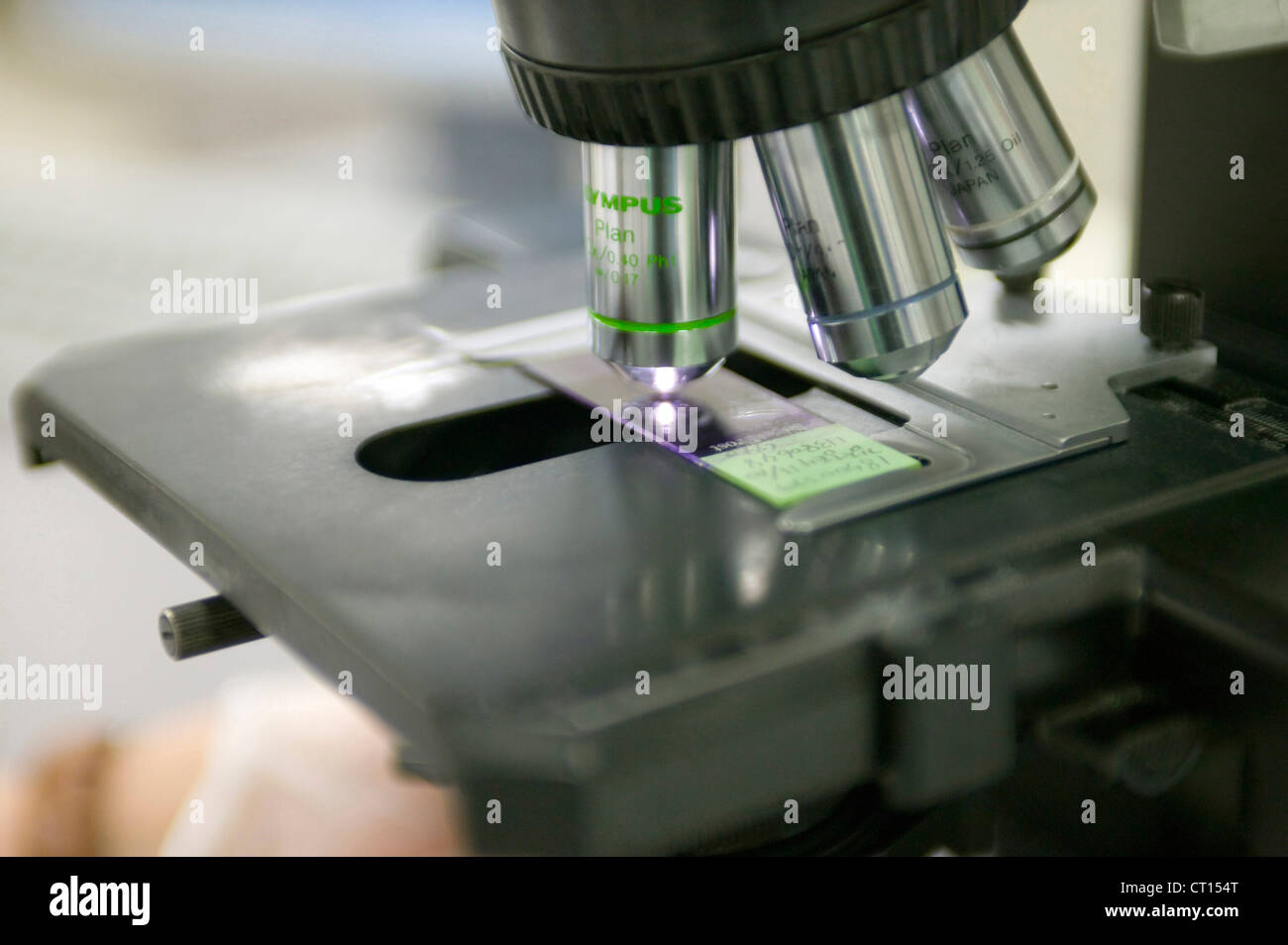 Lab microscope cells hi-res stock photography and images - Alamy