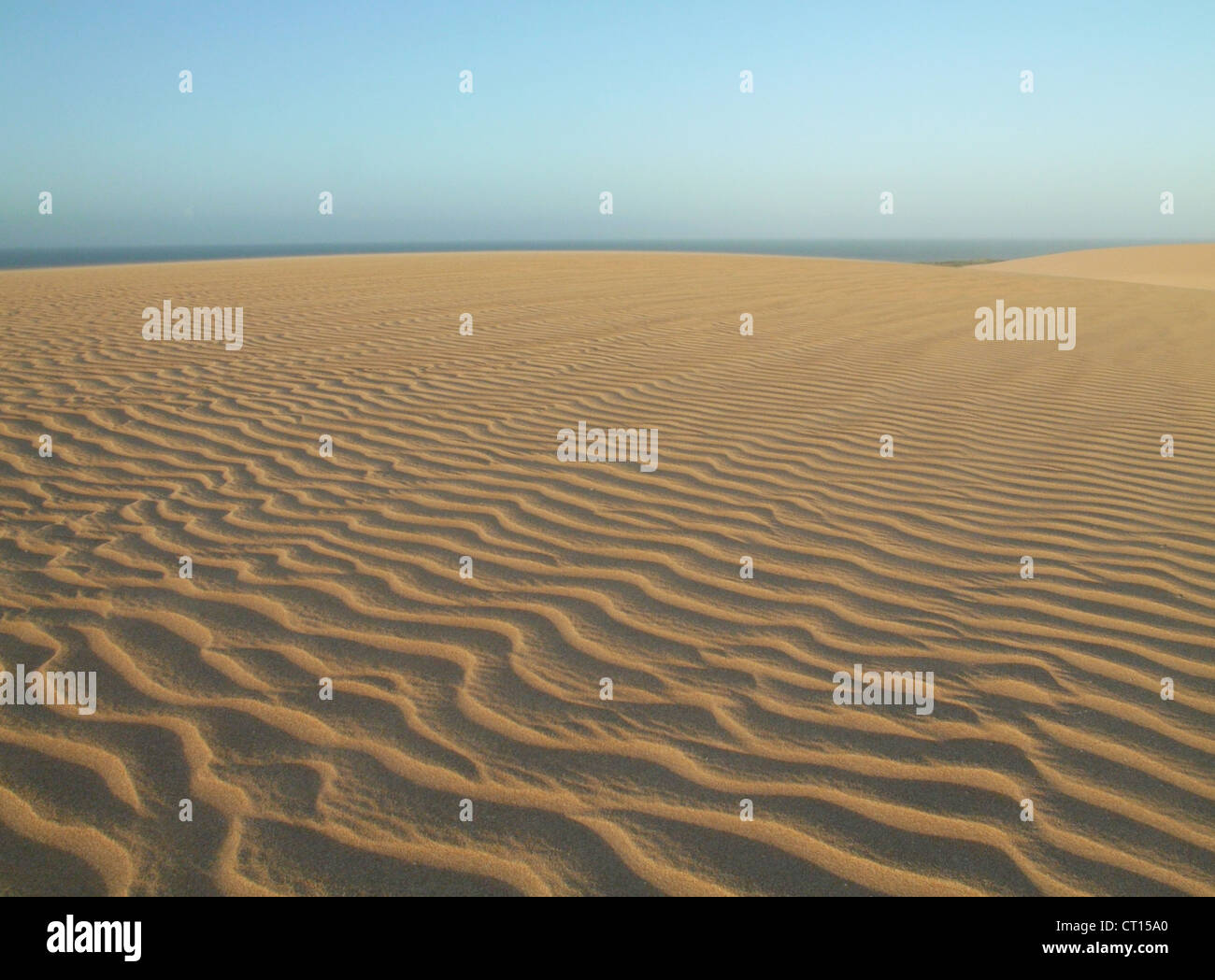 Ripples in sand dunes Stock Photo - Alamy