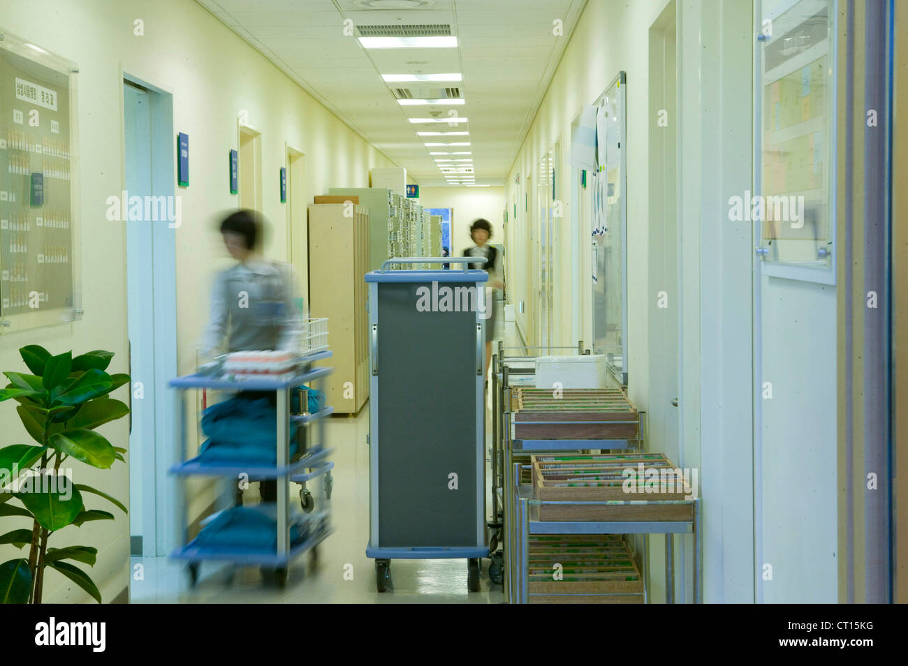 A medical professional transports medical records through the hospital ...