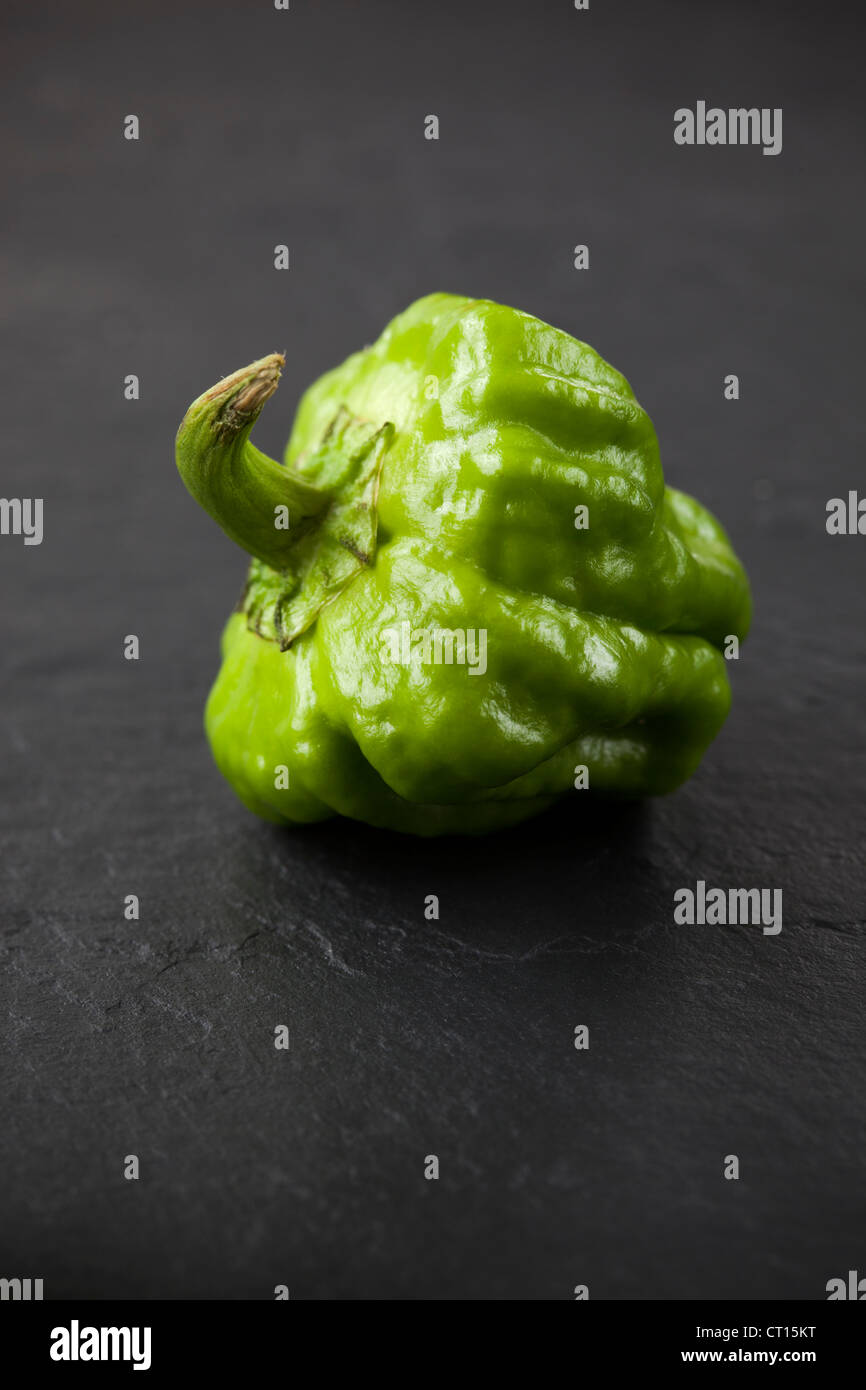 Green Scotch Bonnet Chilli Pepper Stock Photo - Alamy
