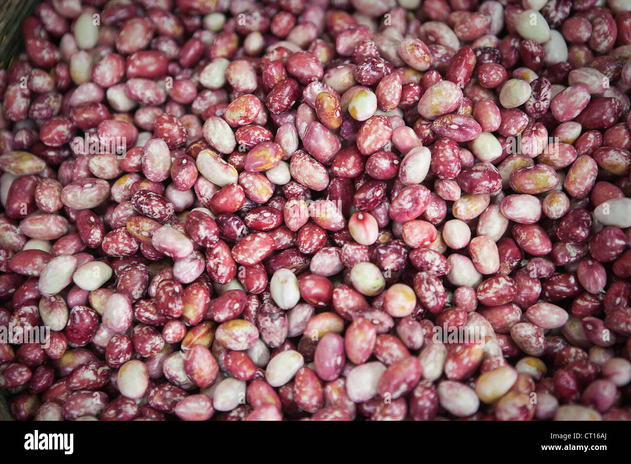 Close up of pile of beans Stock Photo - Alamy