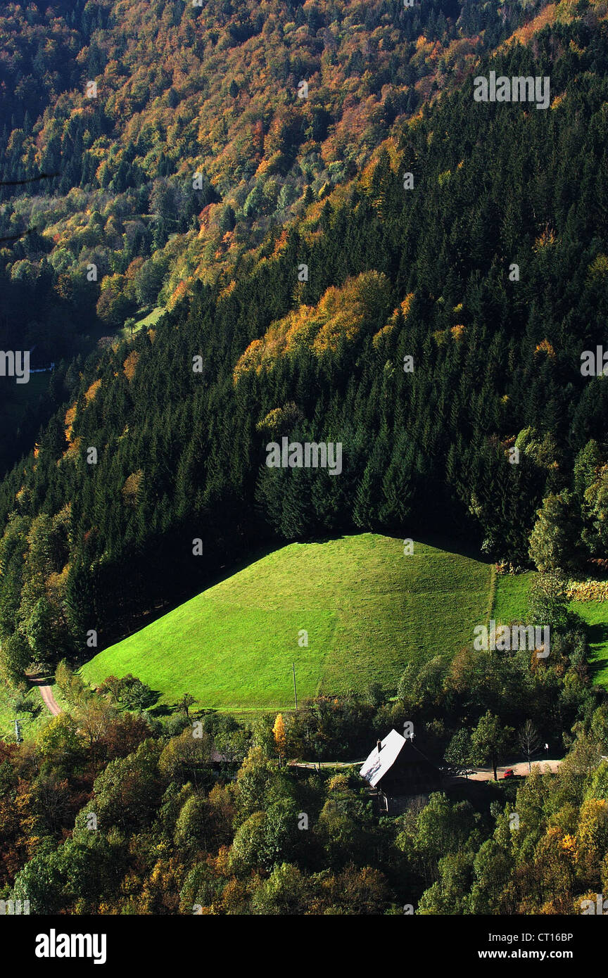 Simon forest Autumn in the Black Forest Stock Photo - Alamy
