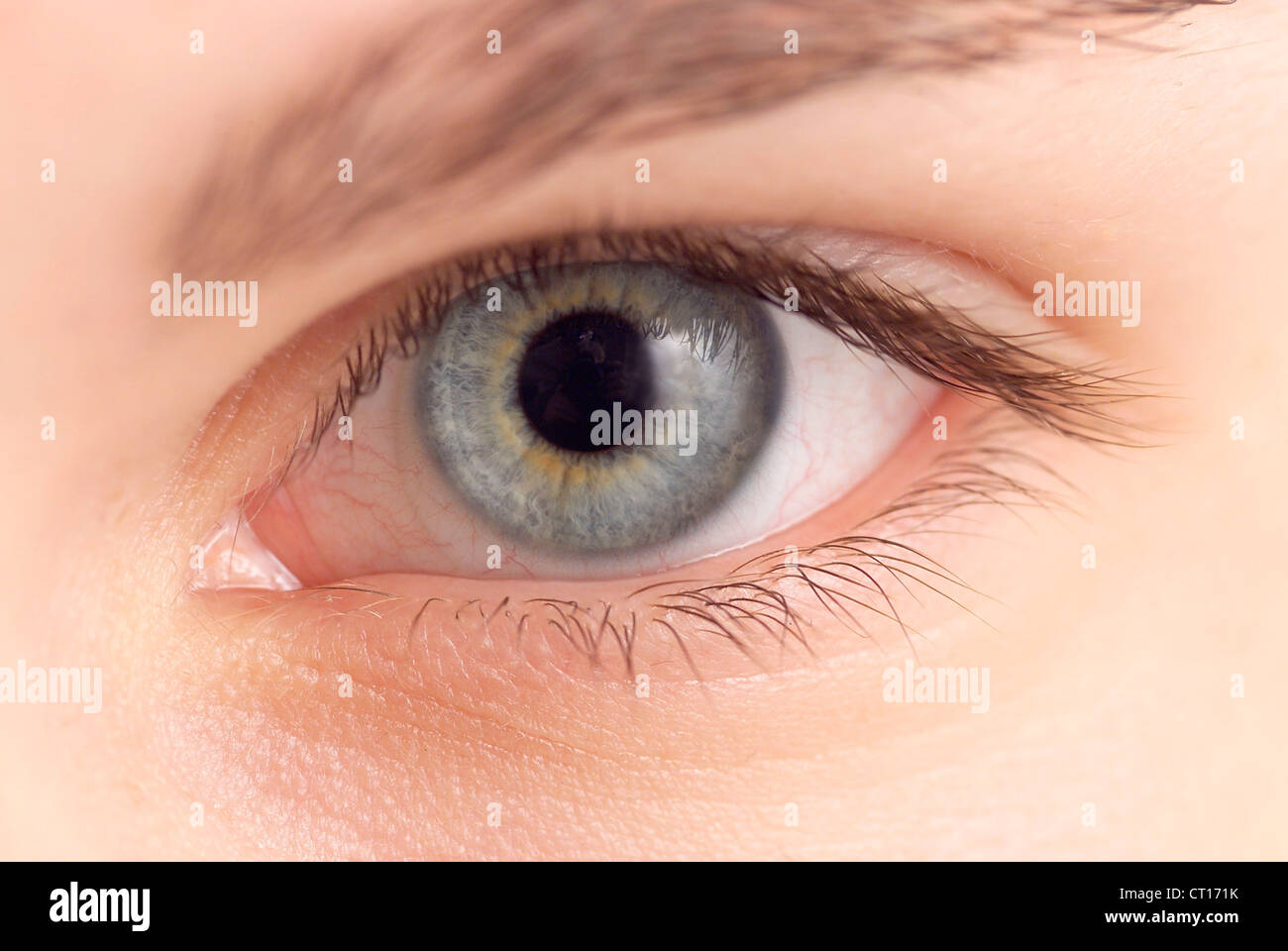 See seeing look looking view viewing visual eyes eyesight hi-res stock ...