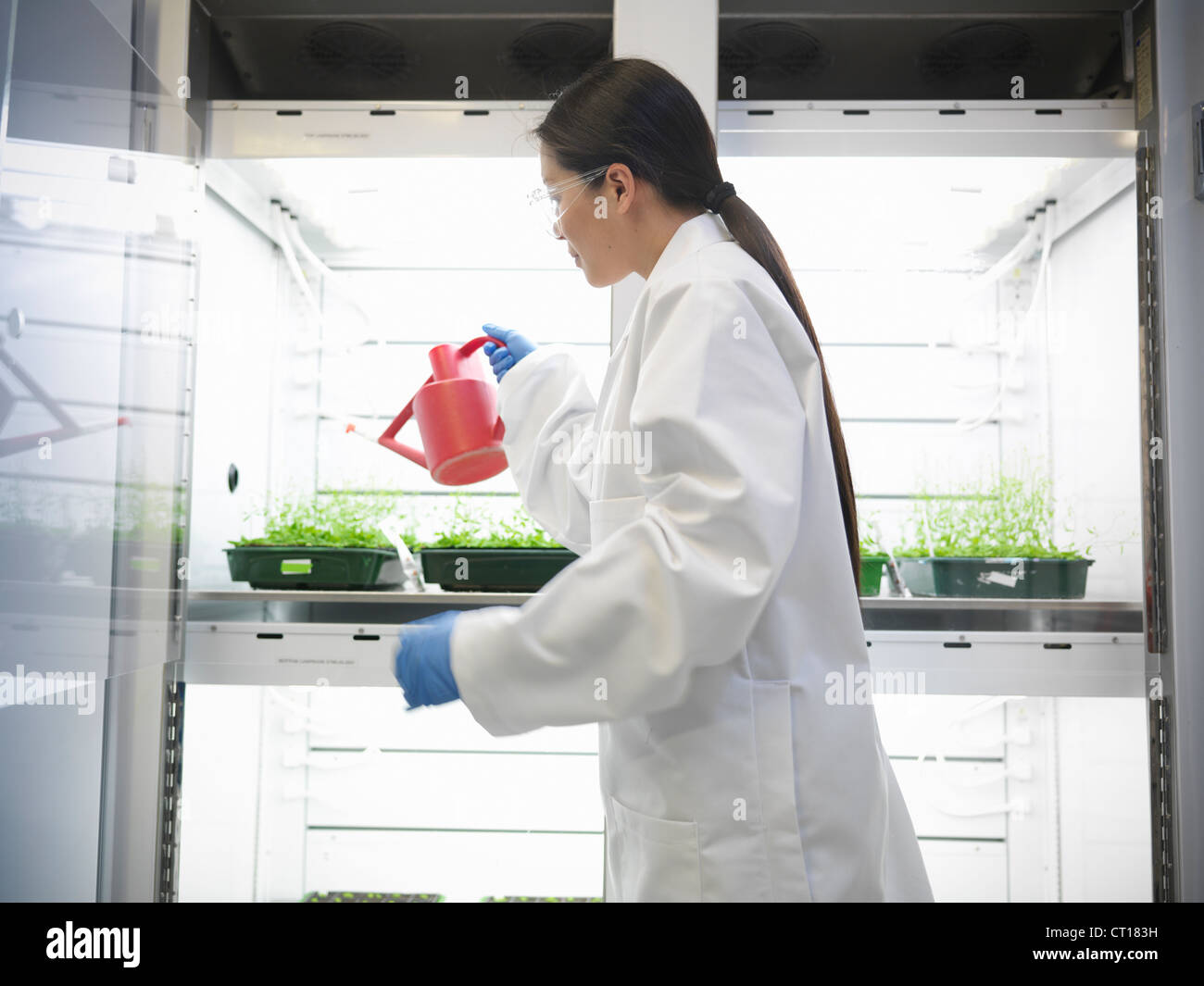 Lab container hi-res stock photography and images - Alamy