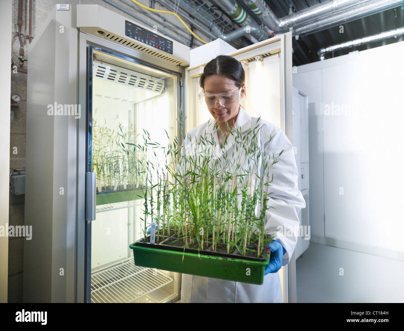Plant incubator hi-res stock photography and images - Alamy